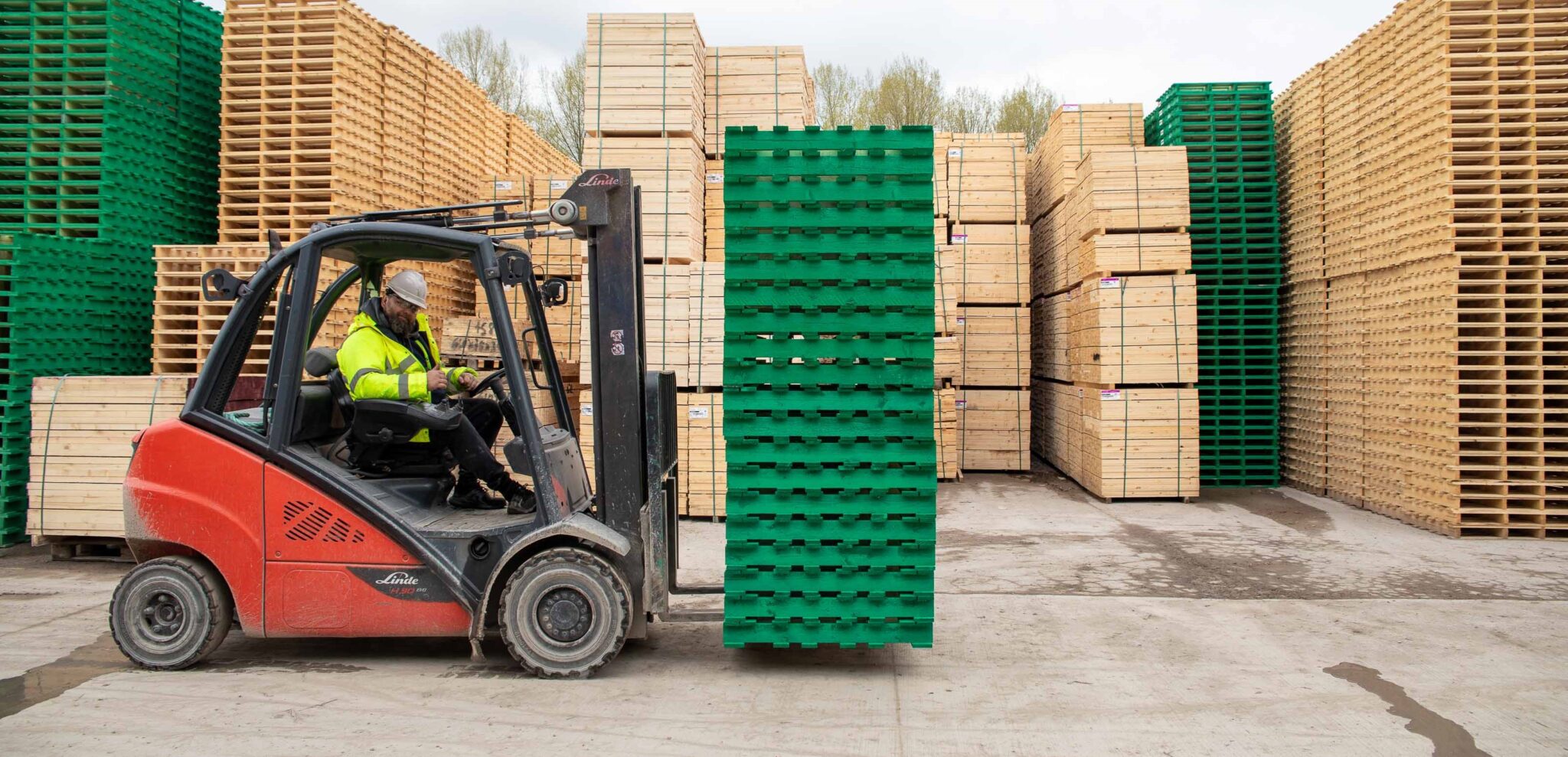 BSW Group strengthens position with investments and sustainability ...